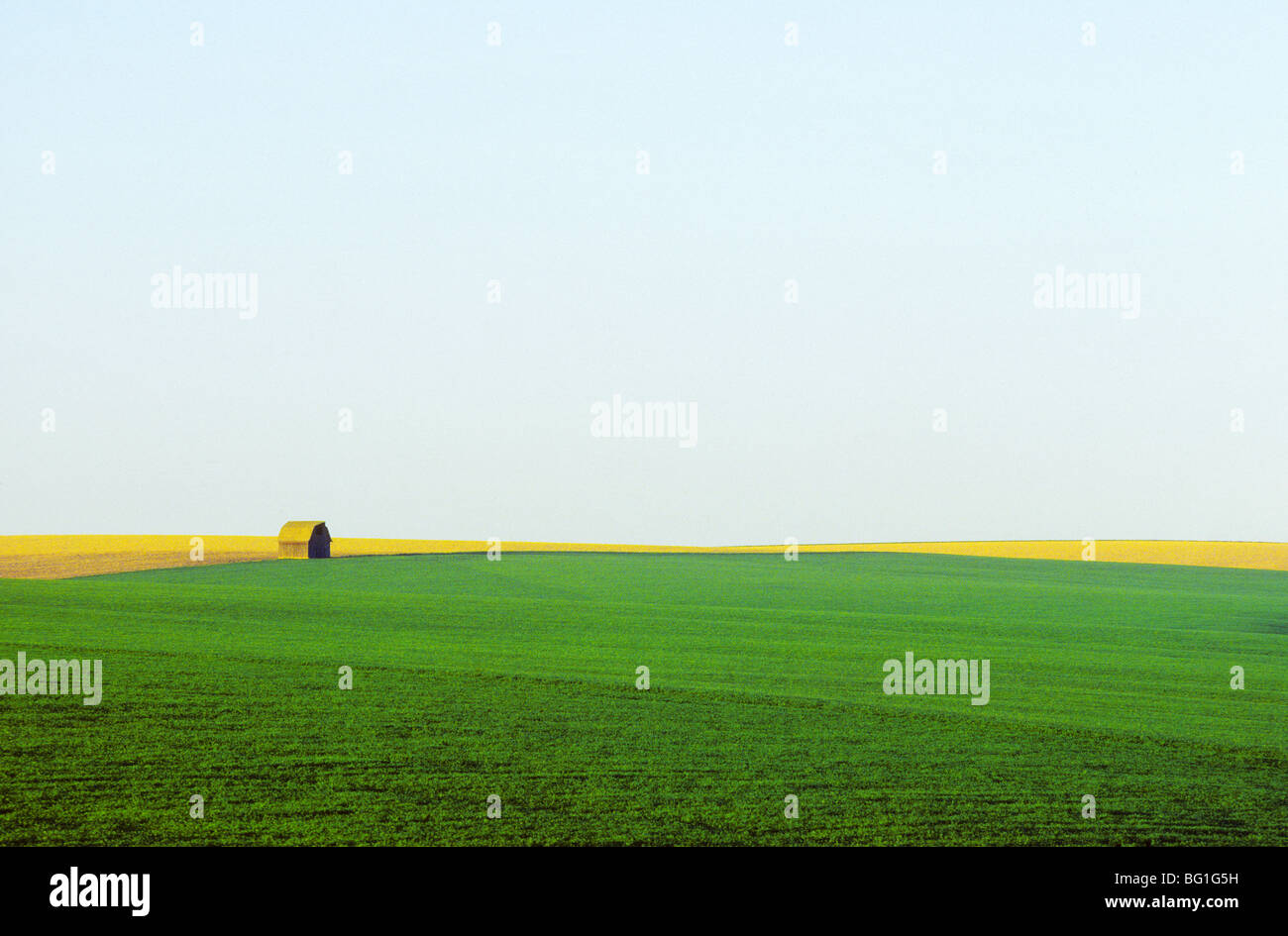 Barn and field, Washington State Stock Photo - Alamy