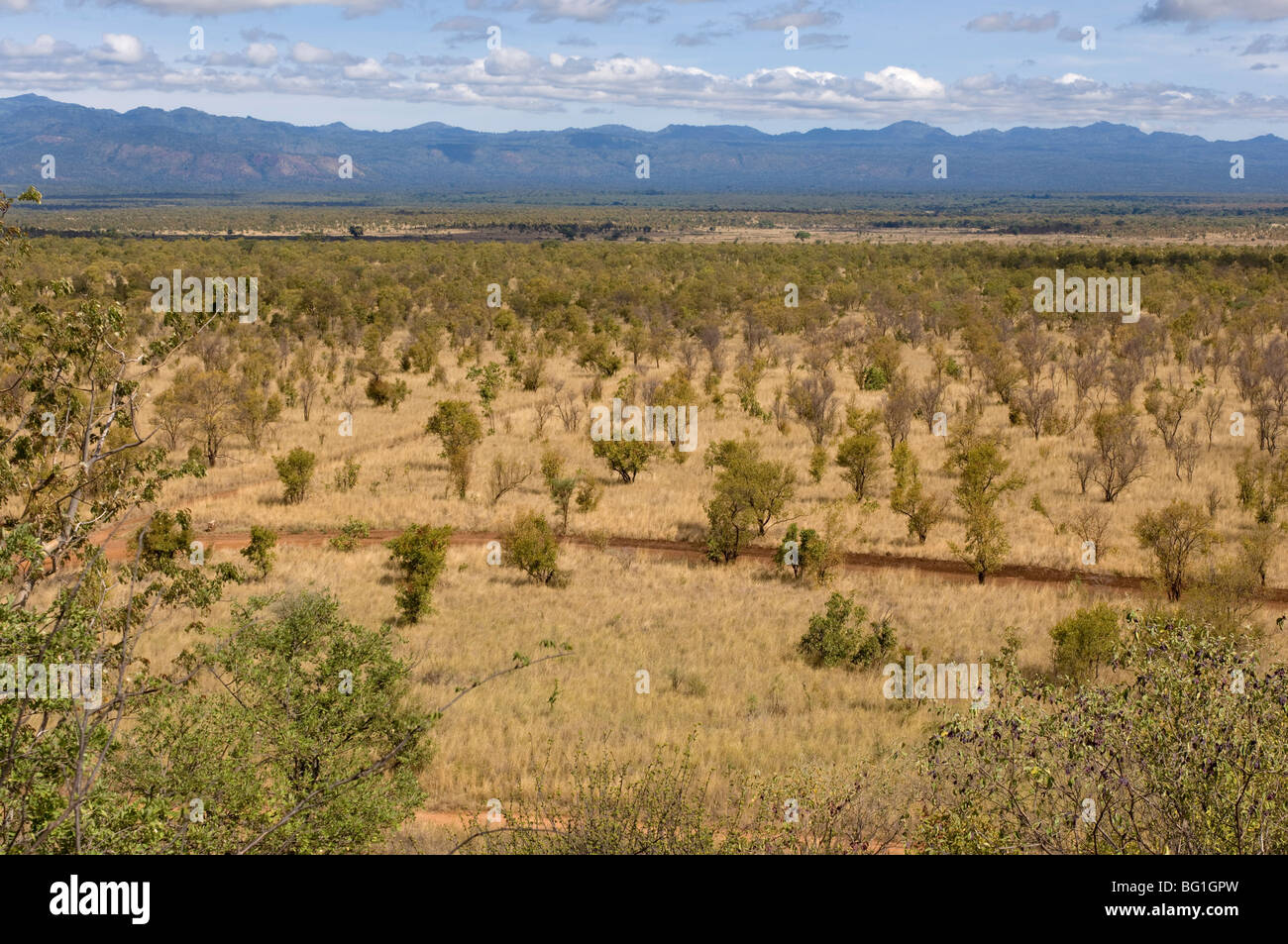 Meru National Park, Kenya, East Africa, Africa Stock Photo - Alamy
