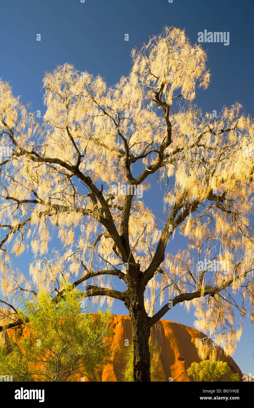 Ayers cliff hi-res stock photography and images - Alamy