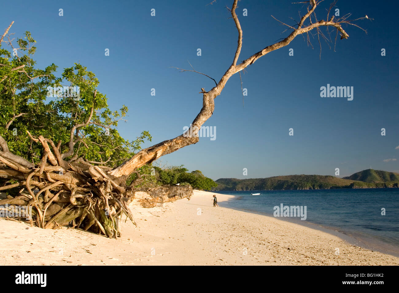 Pristine tropical beaches grace many of the Calamian Islands in Palawan ...
