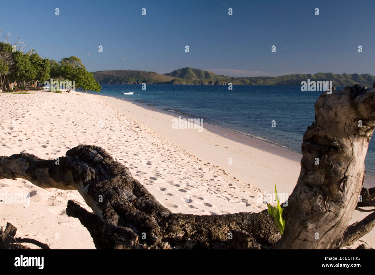 Pristine tropical beaches grace many of the Calamian Islands in Palawan ...