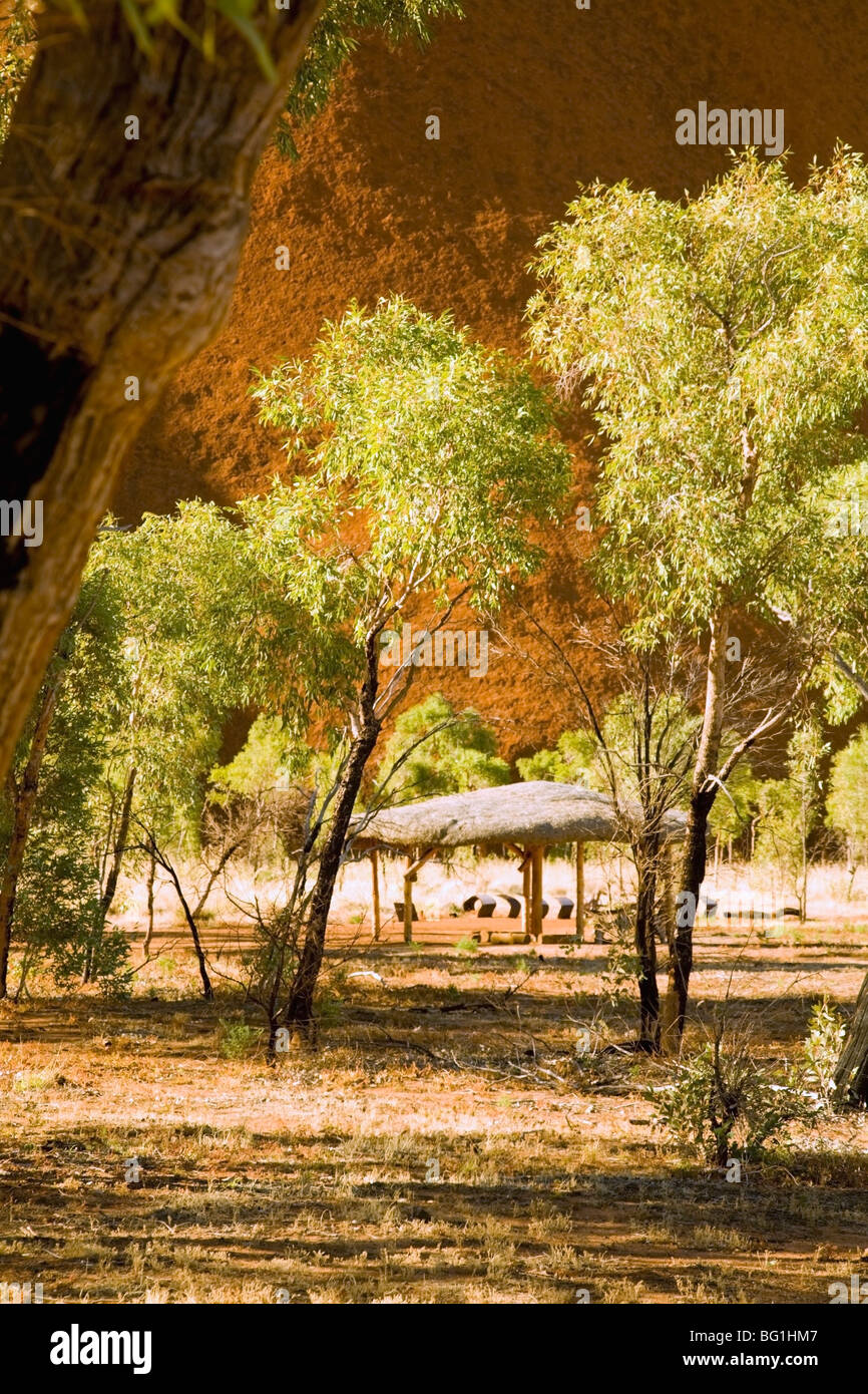 Trees in a dryland Stock Photo - Alamy