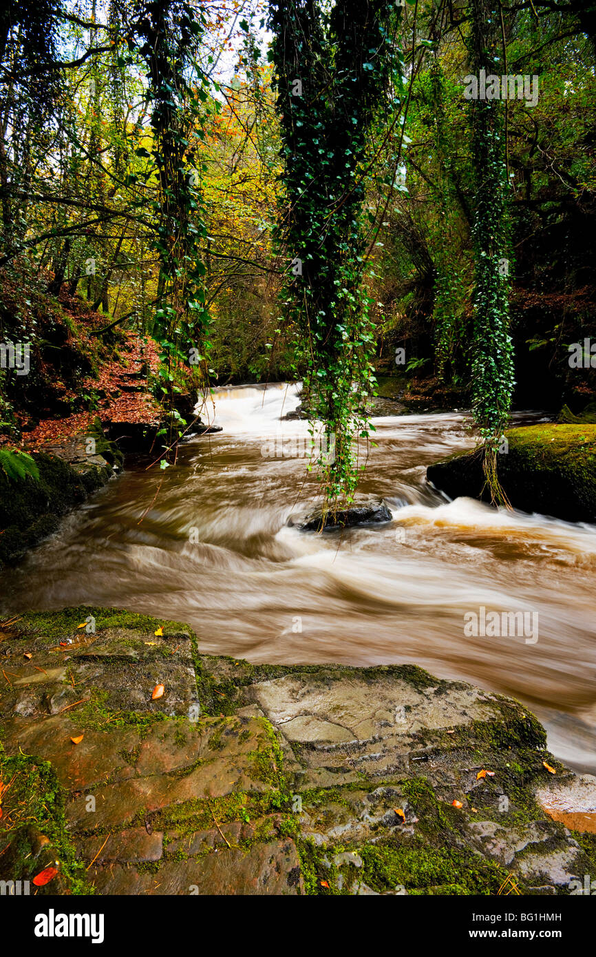 Clare glen hi-res stock photography and images - Alamy