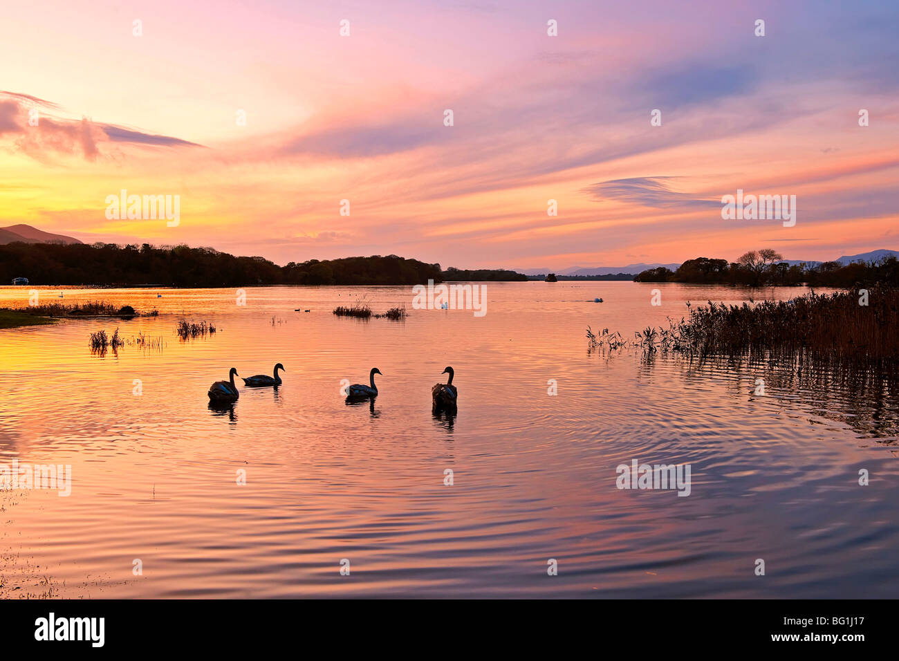 Lake leane hi-res stock photography and images - Alamy