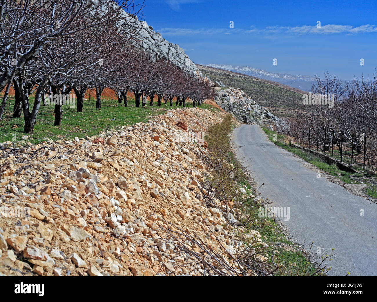 Niha, Bekaa valley, Lebanon Stock Photo - Alamy