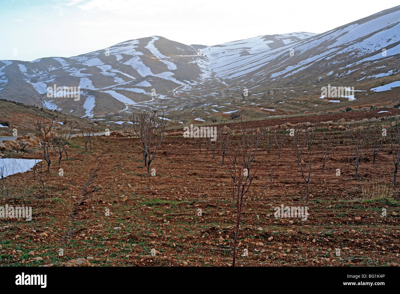 Bekaa valley, Lebanon Stock Photo - Alamy