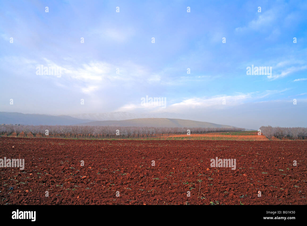 Bekaa valley, Lebanon Stock Photo - Alamy