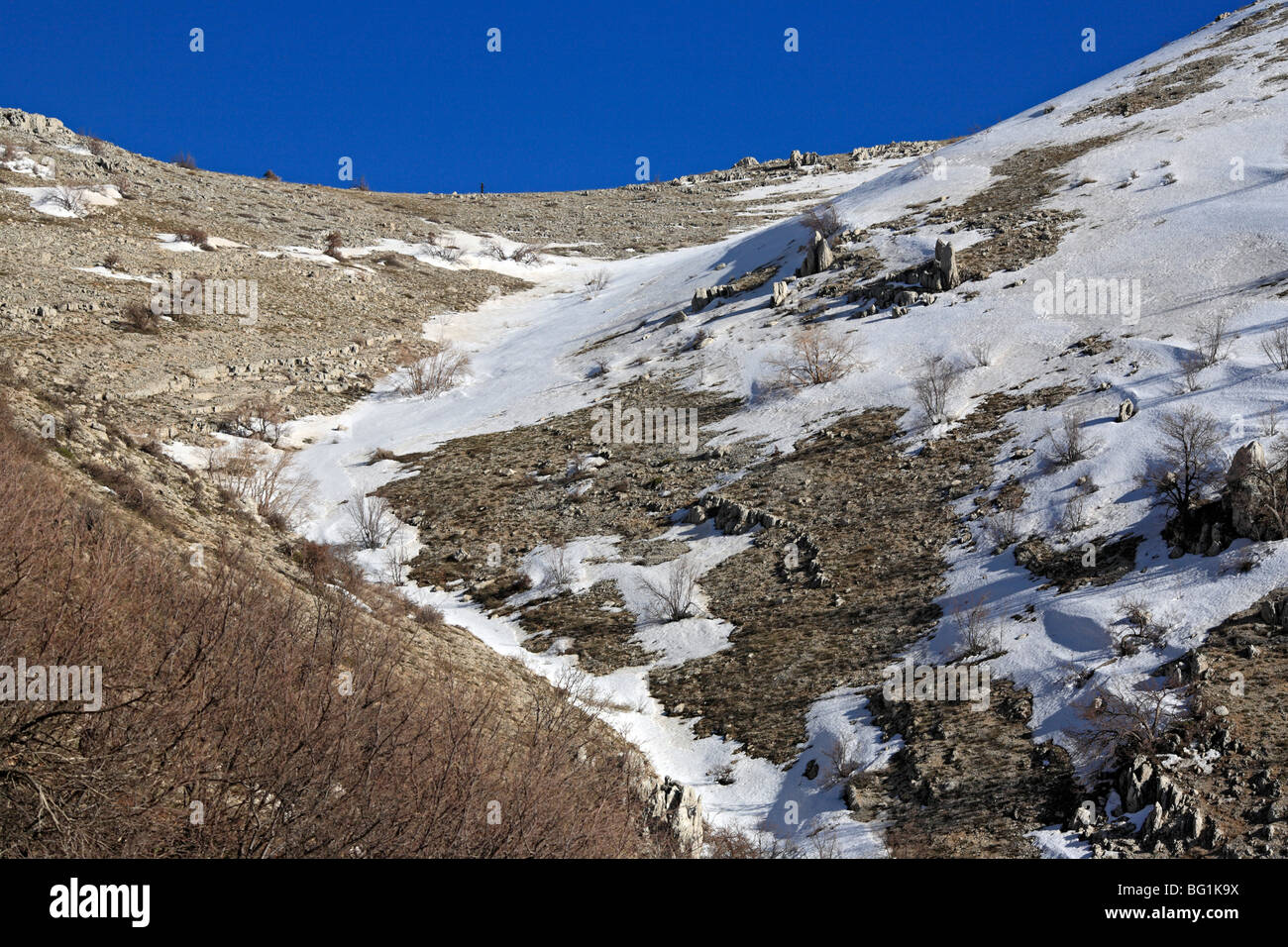 Al Shouf Cedar Nature Reserve, near Maaser esh-Shouf, Lebanon mountains ...
