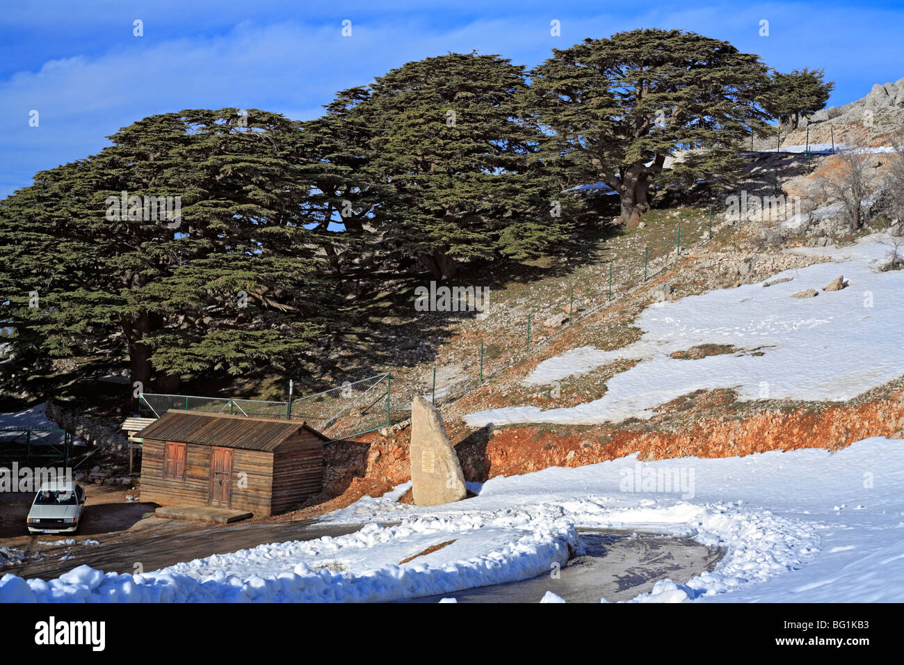 Al Shouf Cedar Nature Reserve, near Maaser esh-Shouf, Lebanon mountains ...