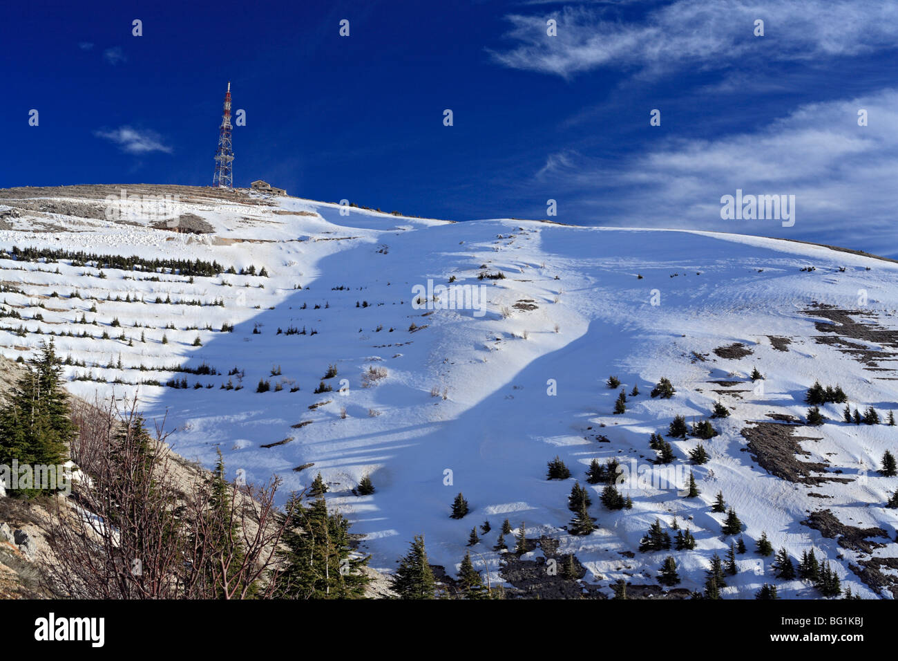 Al Shouf Cedar Nature Reserve, near Maaser esh-Shouf, Lebanon mountains ...