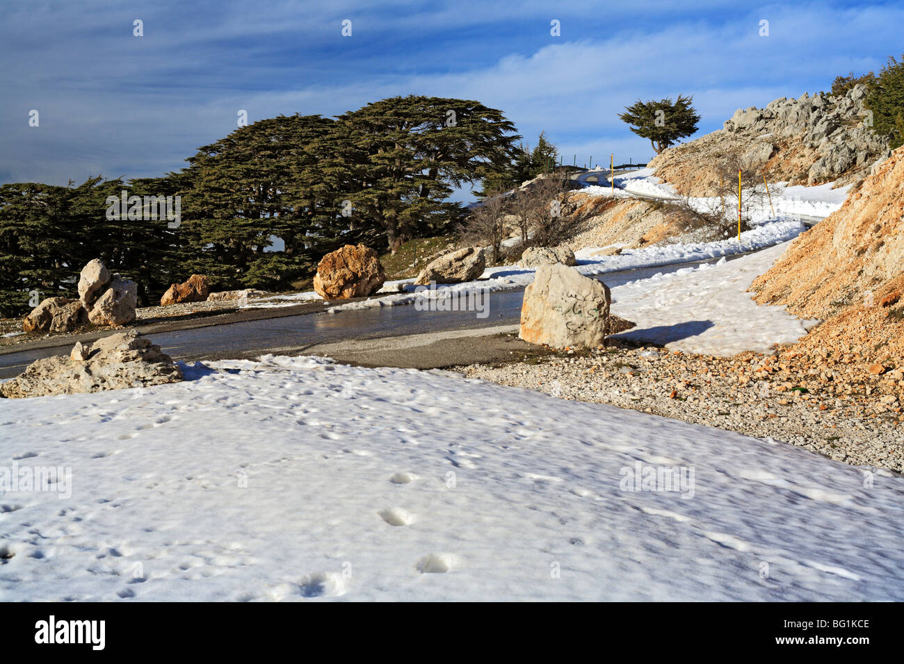 Al shouf cedar nature reserve hi-res stock photography and images - Alamy