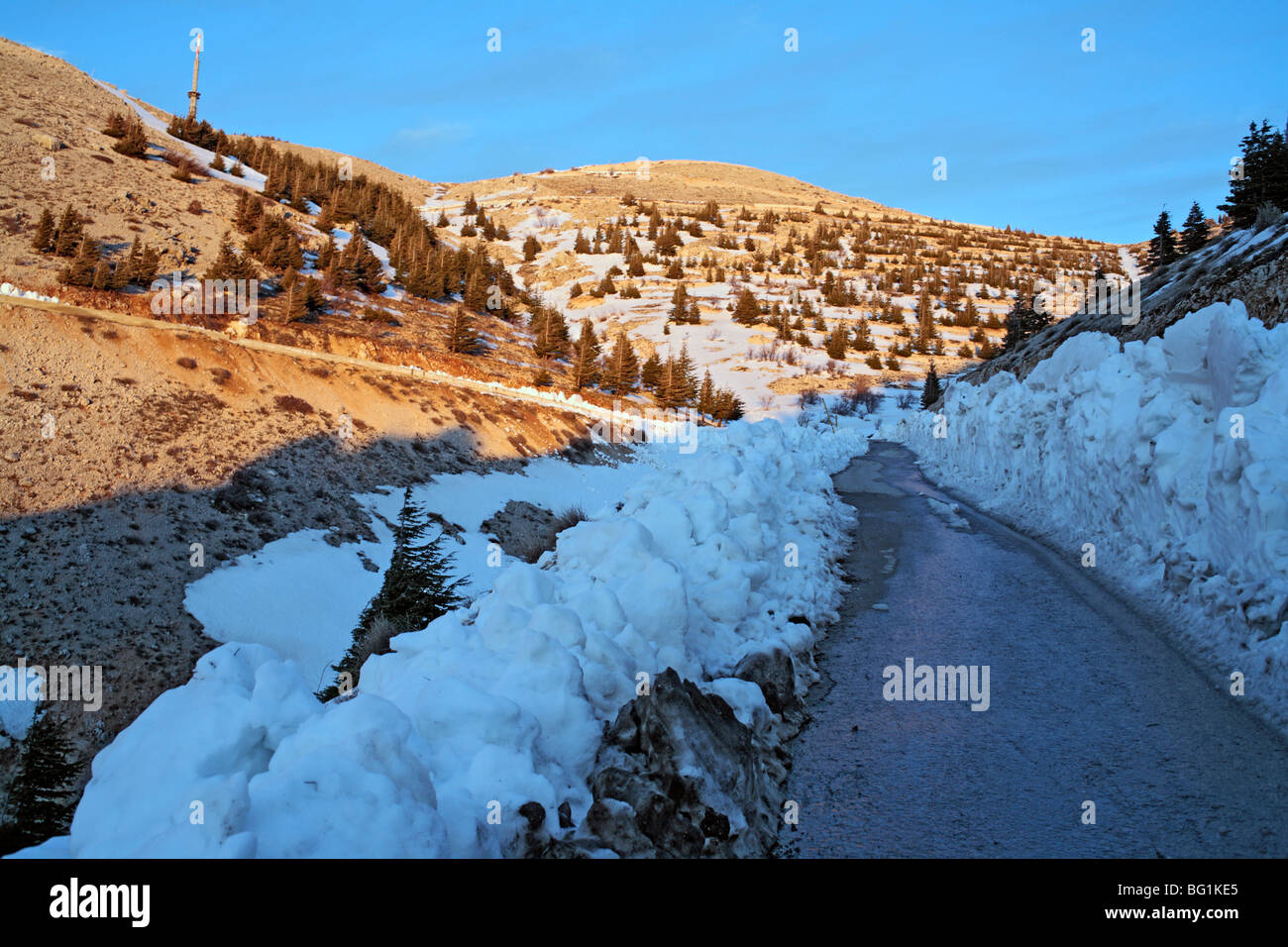 Al Shouf Cedar Nature Reserve, near Maaser esh-Shouf, Lebanon mountains ...