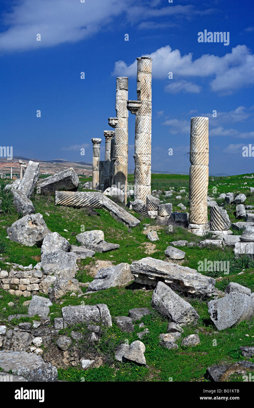 Apameia hi-res stock photography and images - Alamy