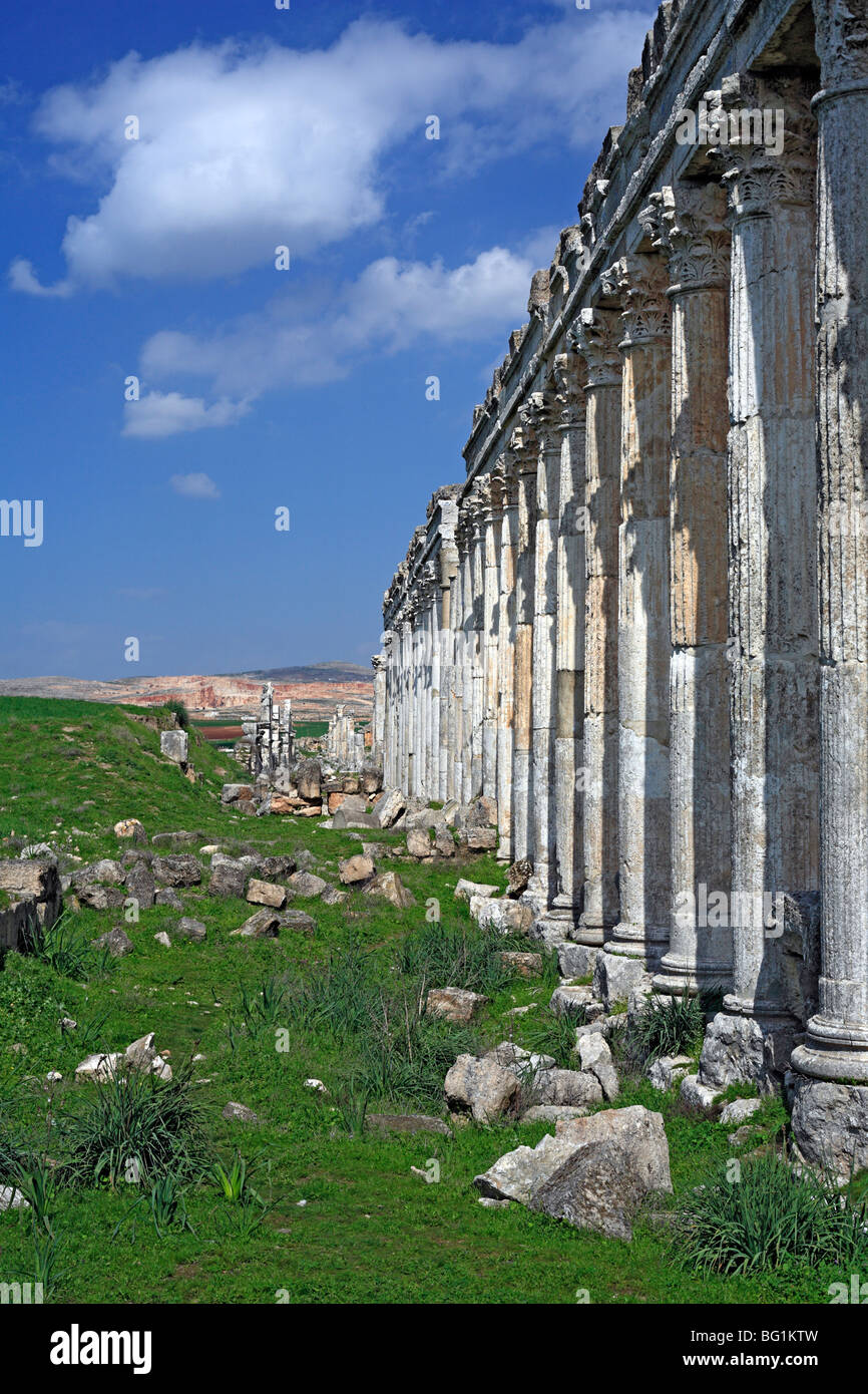 Apamea apameia afamia hi-res stock photography and images - Alamy
