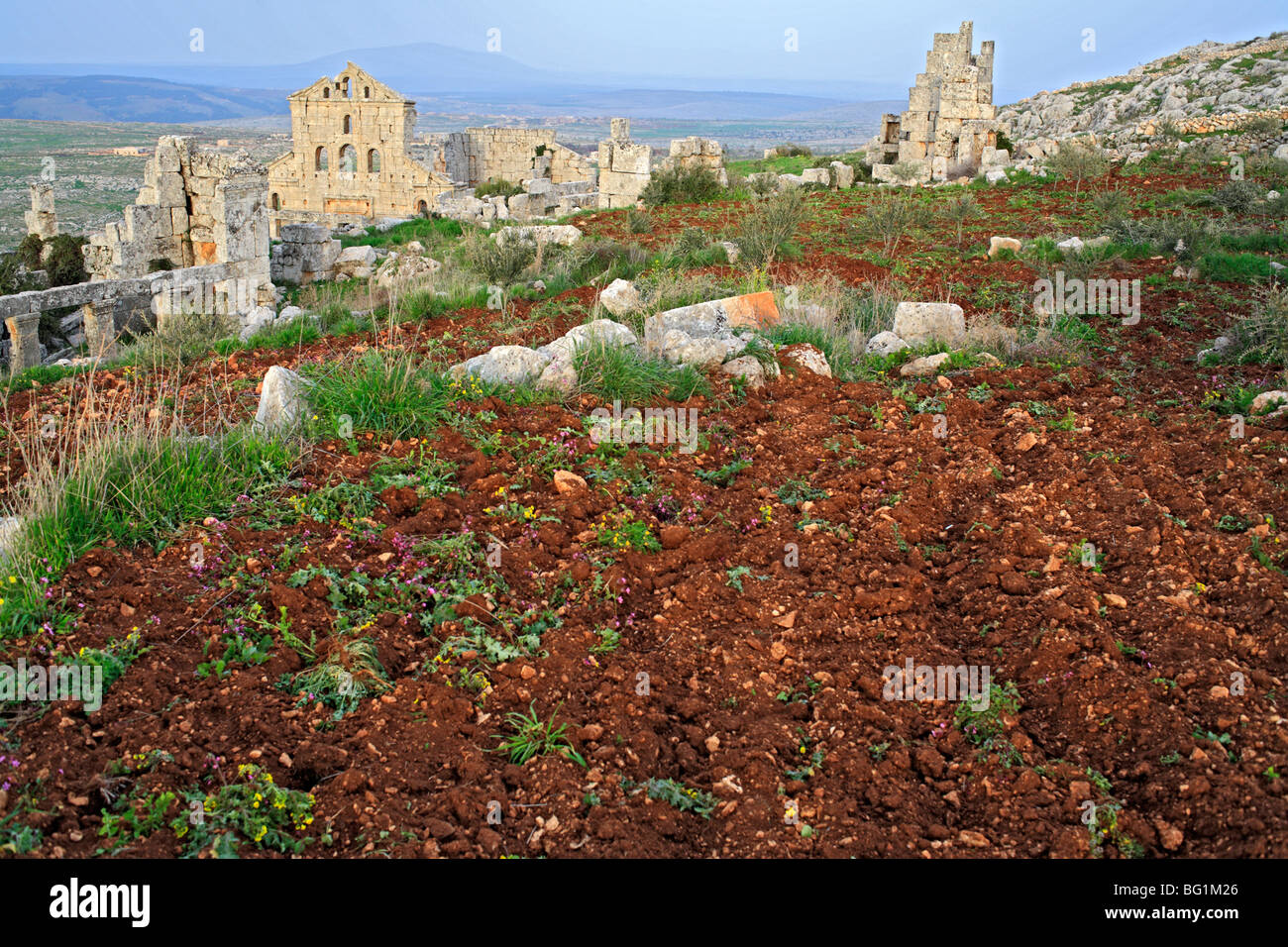 Byzantine ruins, Basilica, Baqirha, Syria Stock Photo - Alamy