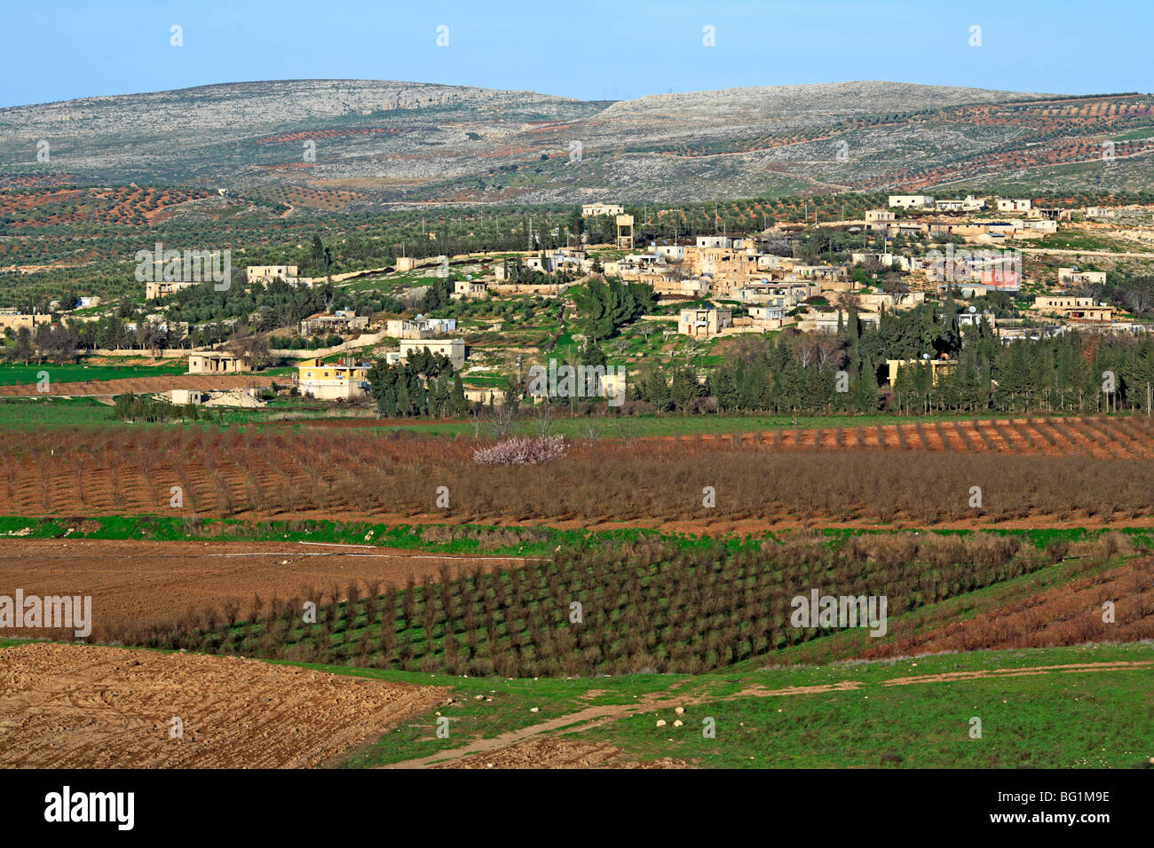 View from the hill, Ain Dara, Syria Stock Photo - Alamy