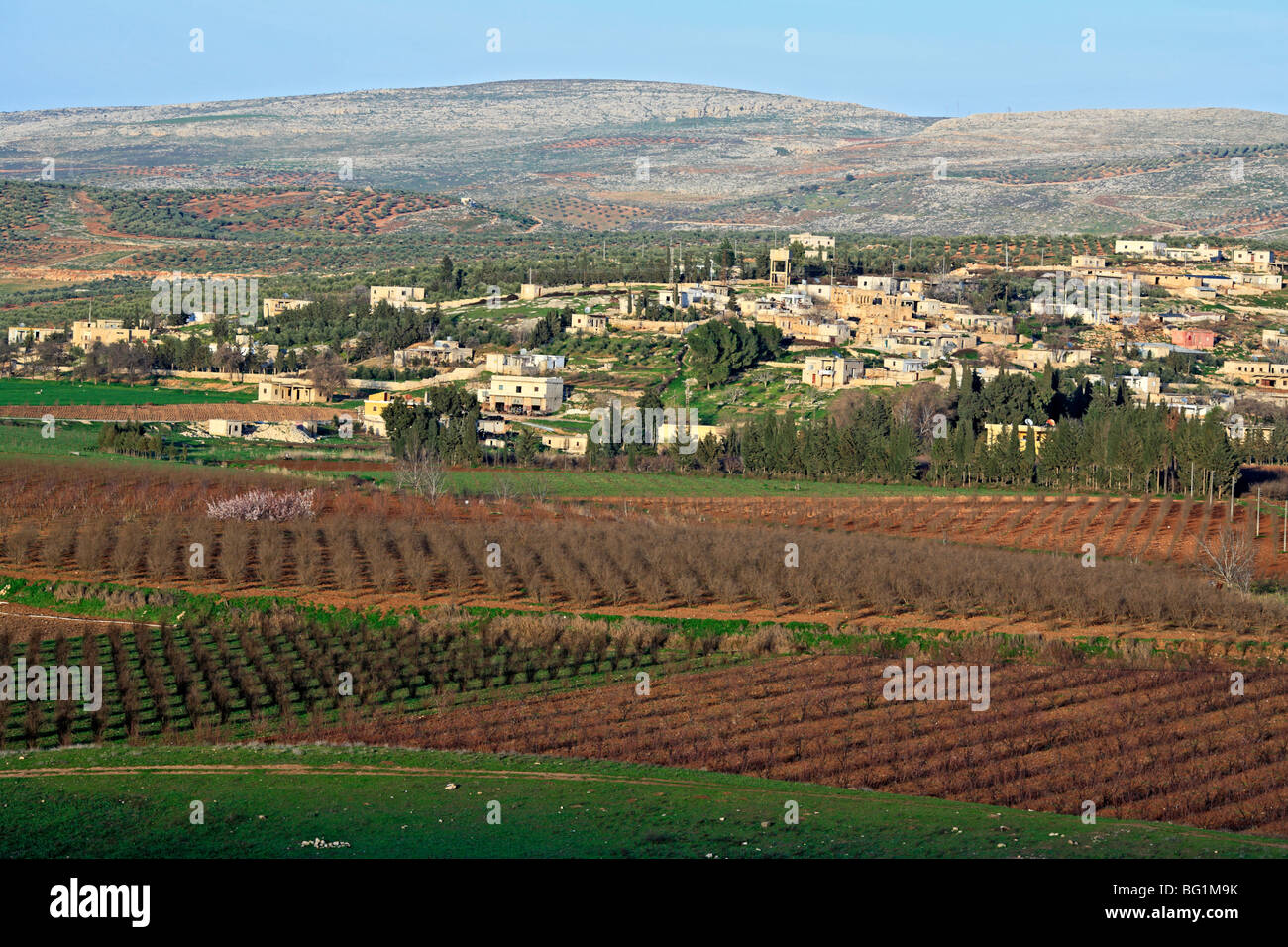 Ain dara syria hi-res stock photography and images - Alamy