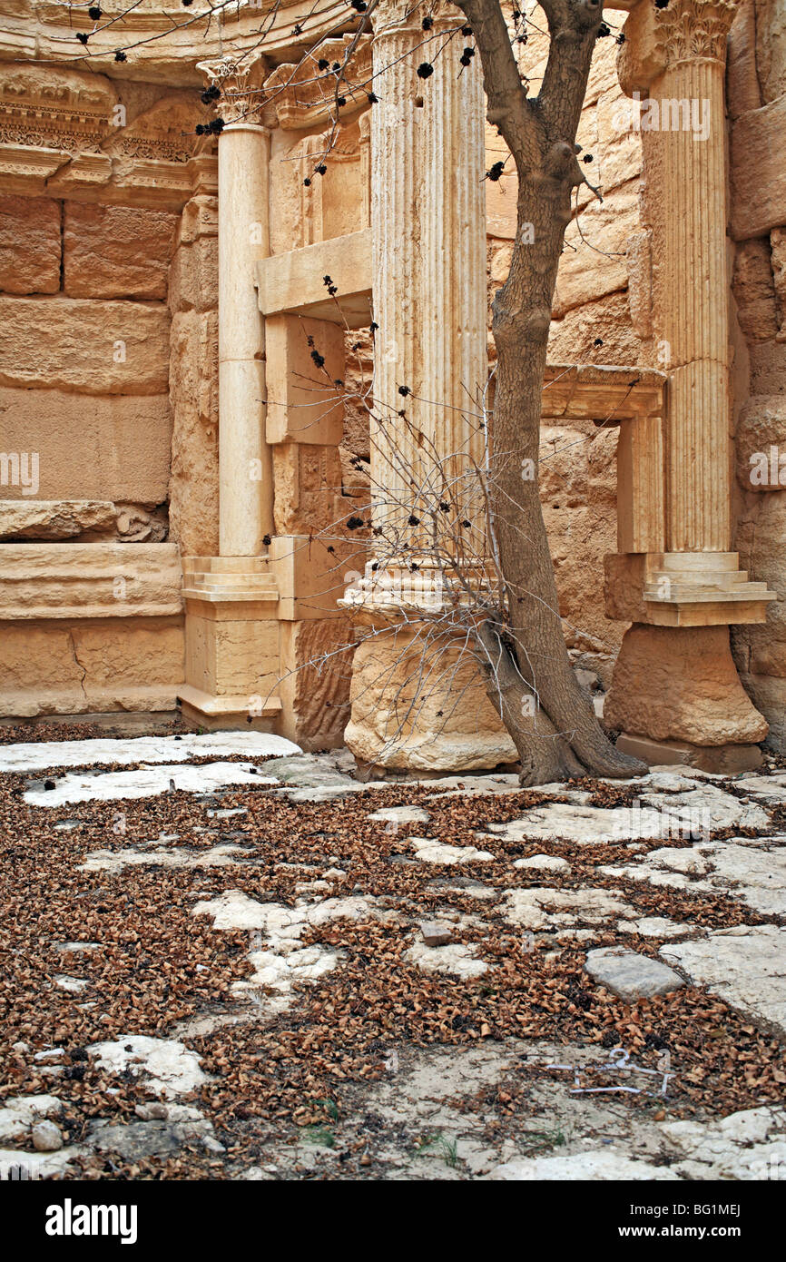 Stone temple architecture ancient hi-res stock photography and images ...