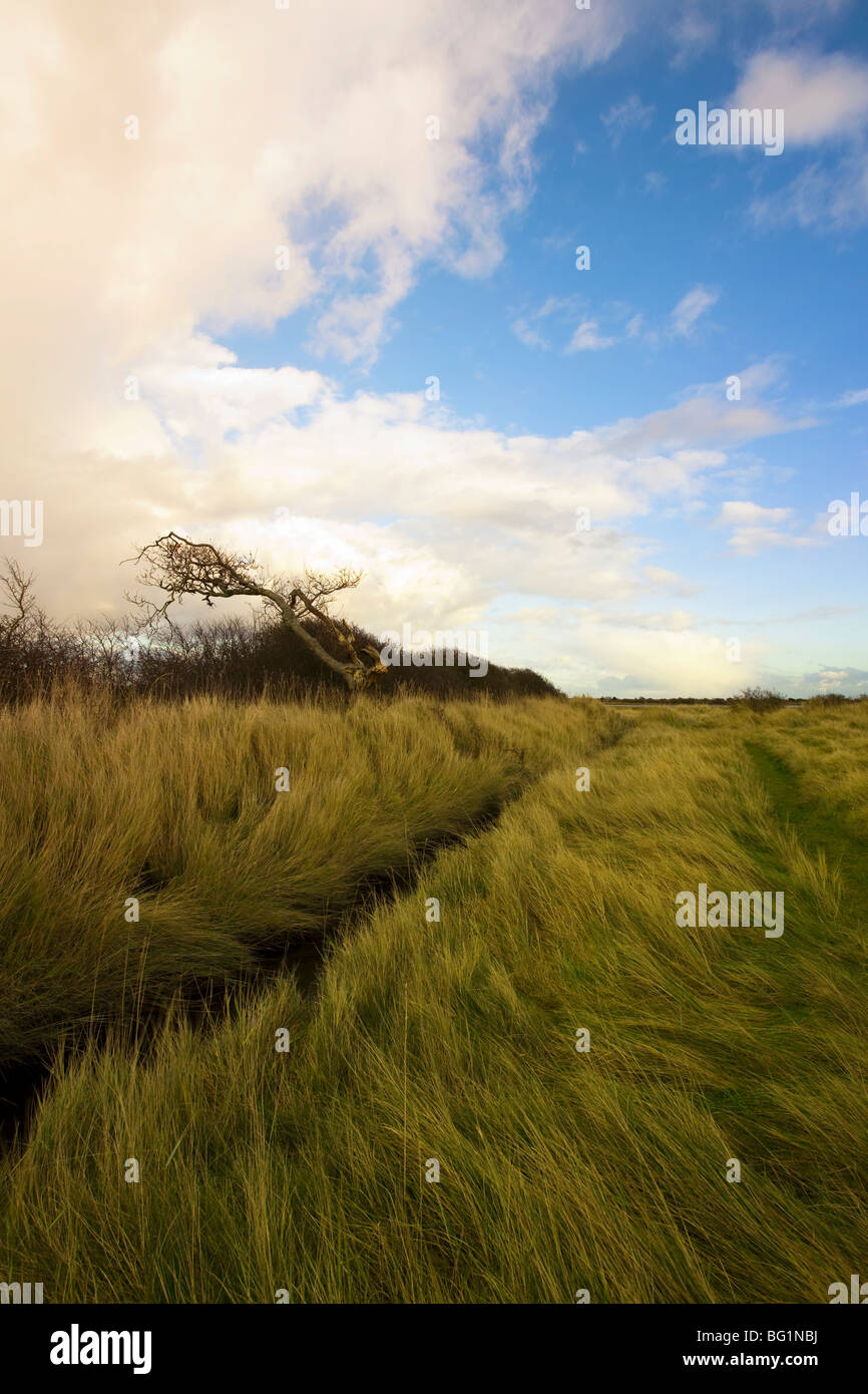 Windy path hi-res stock photography and images - Alamy