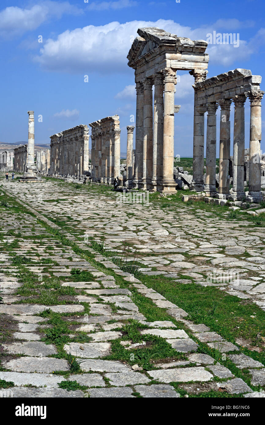 Ancient city Apamea (Apameia, Afamia), Syria Stock Photo - Alamy