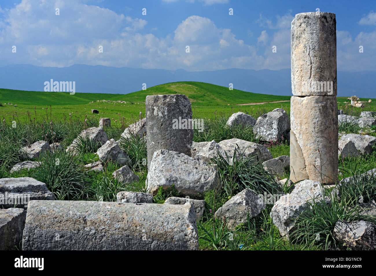 Ancient city Apamea (Apameia, Afamia), Syria Stock Photo - Alamy