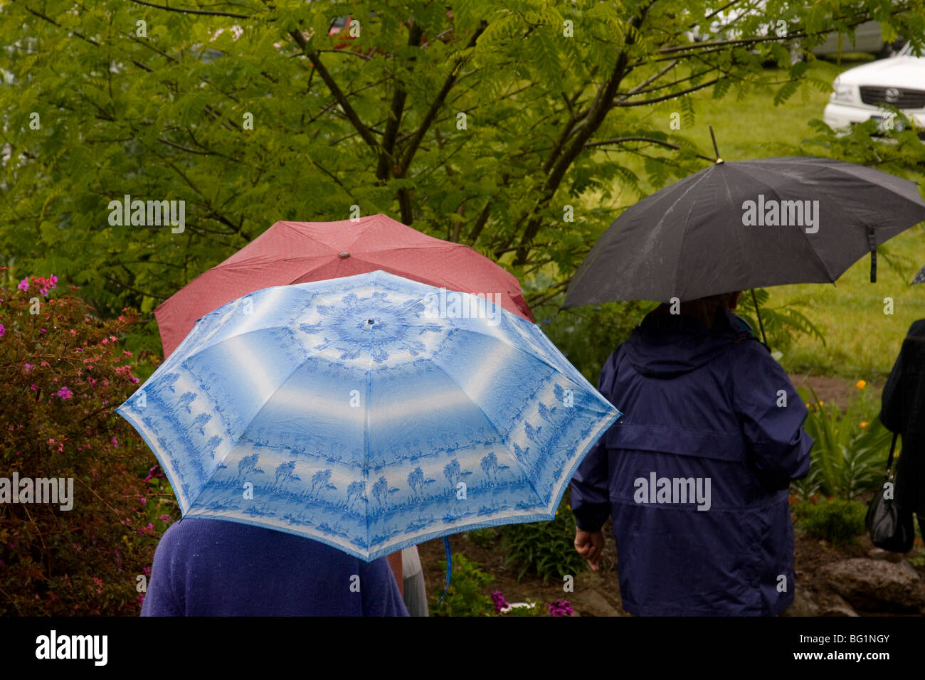 Umbrellas in the rain Stock Photo - Alamy
