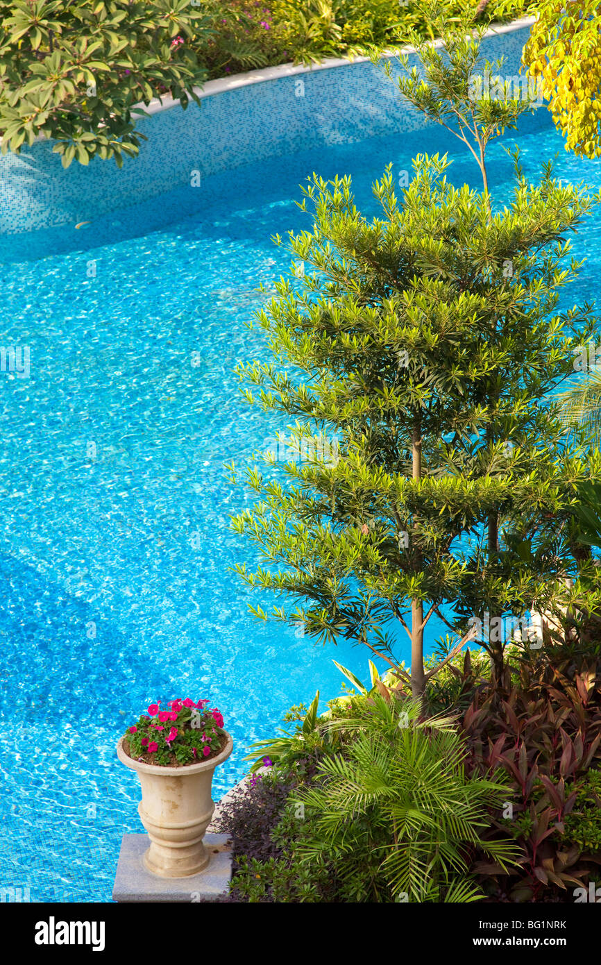 Pool deck garden hi-res stock photography and images - Alamy