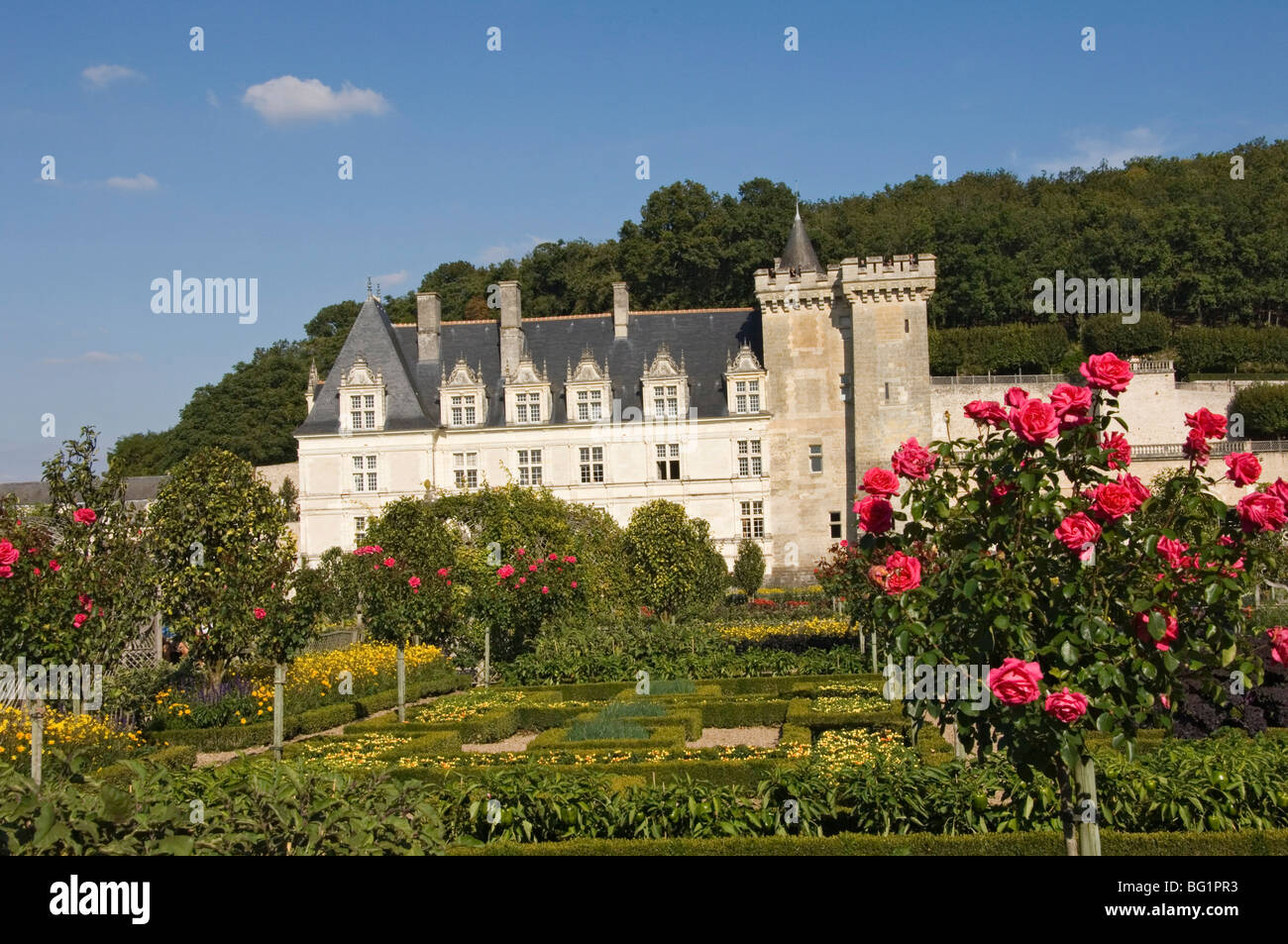 Chateau de villandry france hi-res stock photography and images - Alamy