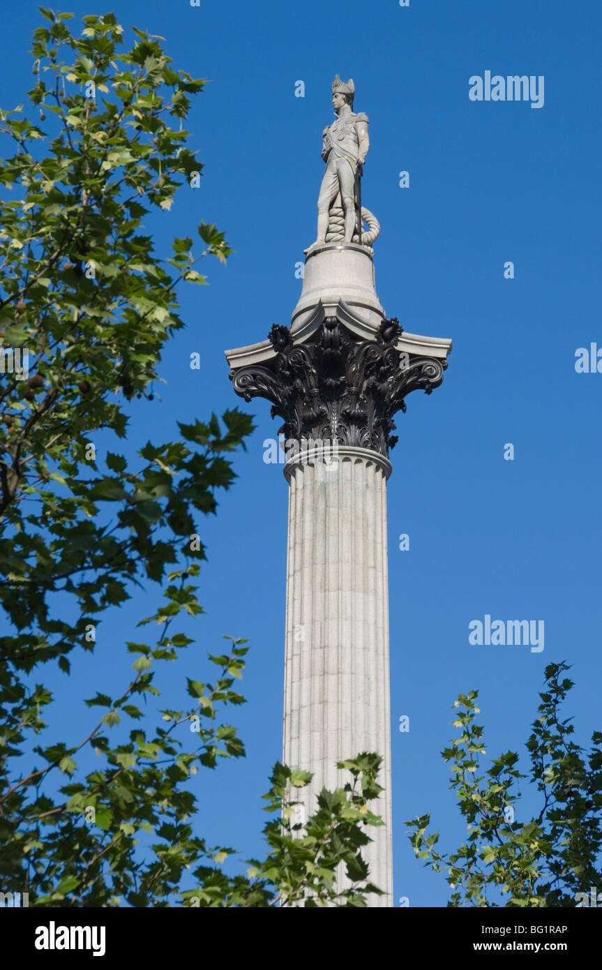 Nelsons column, Trafalgar Square, London, England, United Kingdom ...