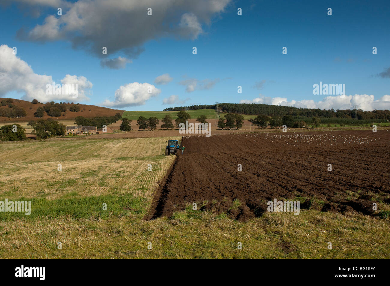 Farmer ploughing field hi-res stock photography and images - Alamy