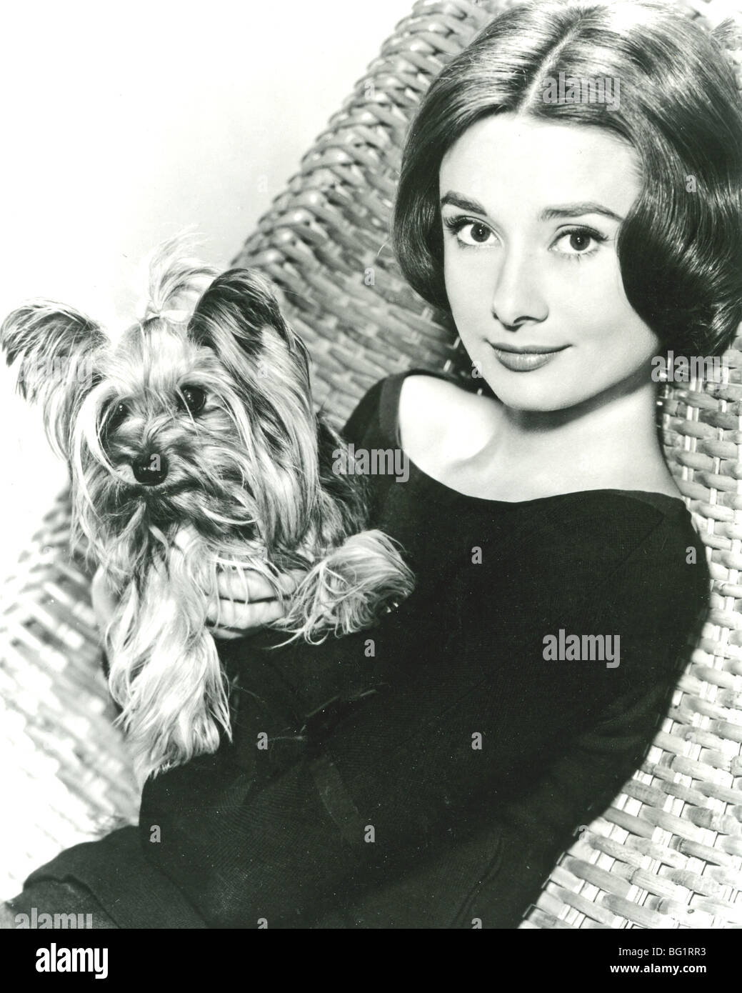 AUDREY HEPBURN - film actress about 1959 with her dog Mr Famous Stock ...