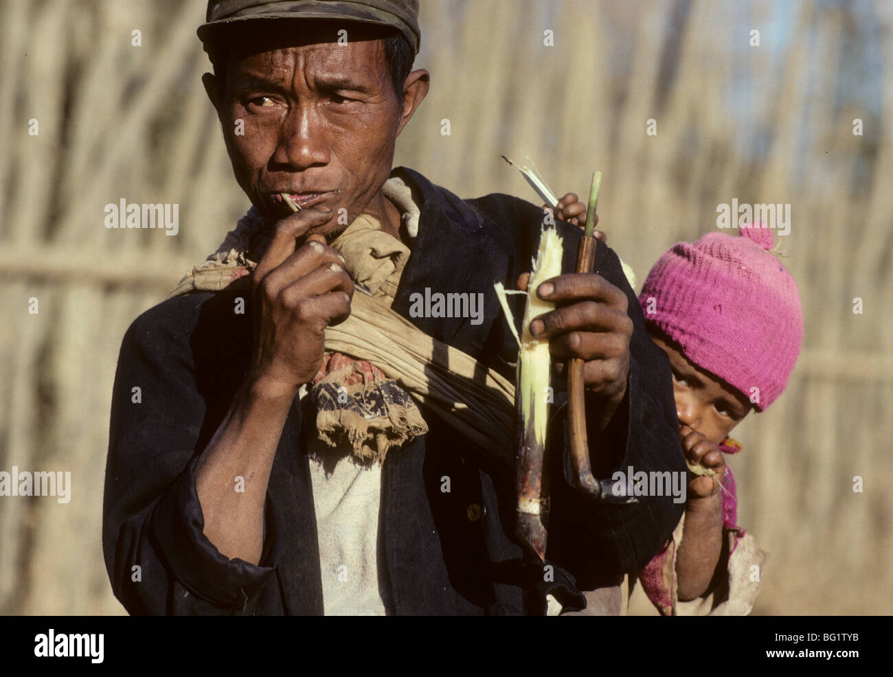 A father chews on some sugar cane while taking a walk with his child on ...