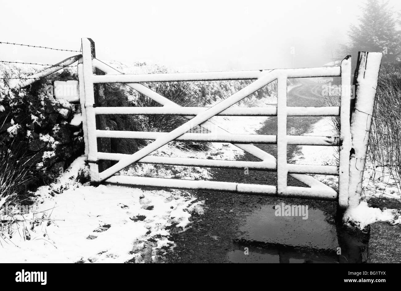 Covered bar Black and White Stock Photos & Images - Alamy