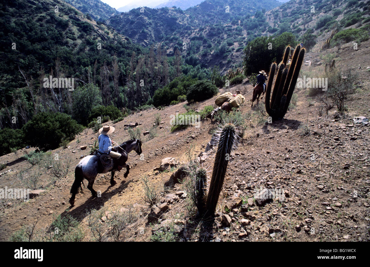 Men on horseback carry supplies to cattle ranch on the outskirts of ...