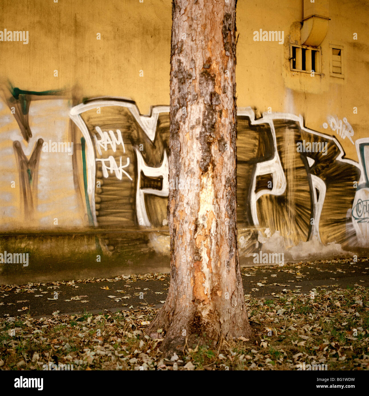World Travel. Graffiti in the ancient city of Prague in the Czech ...