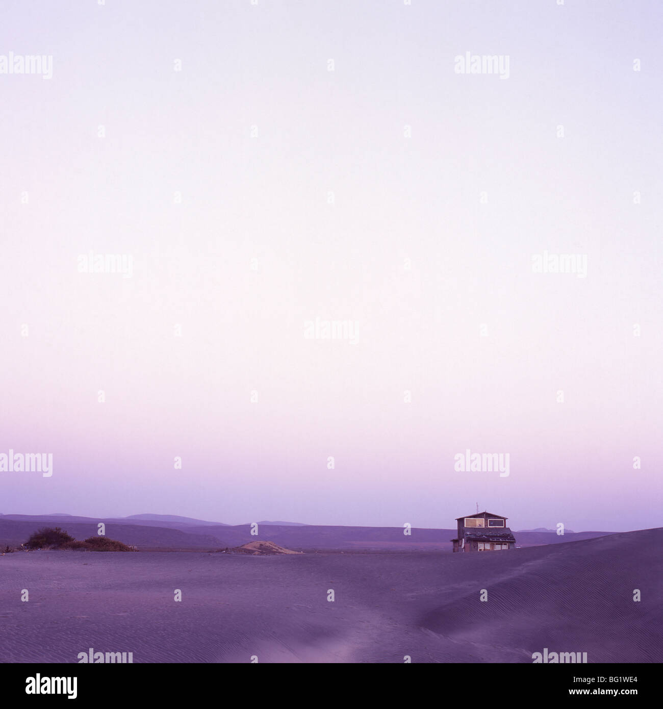 Desolate Landscape Banner