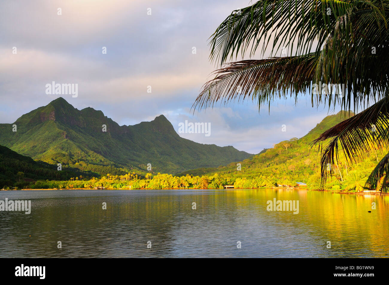 Faaroa Bay and Mount Oropiro, Raiatea, French Polynesia, South Pacific ...