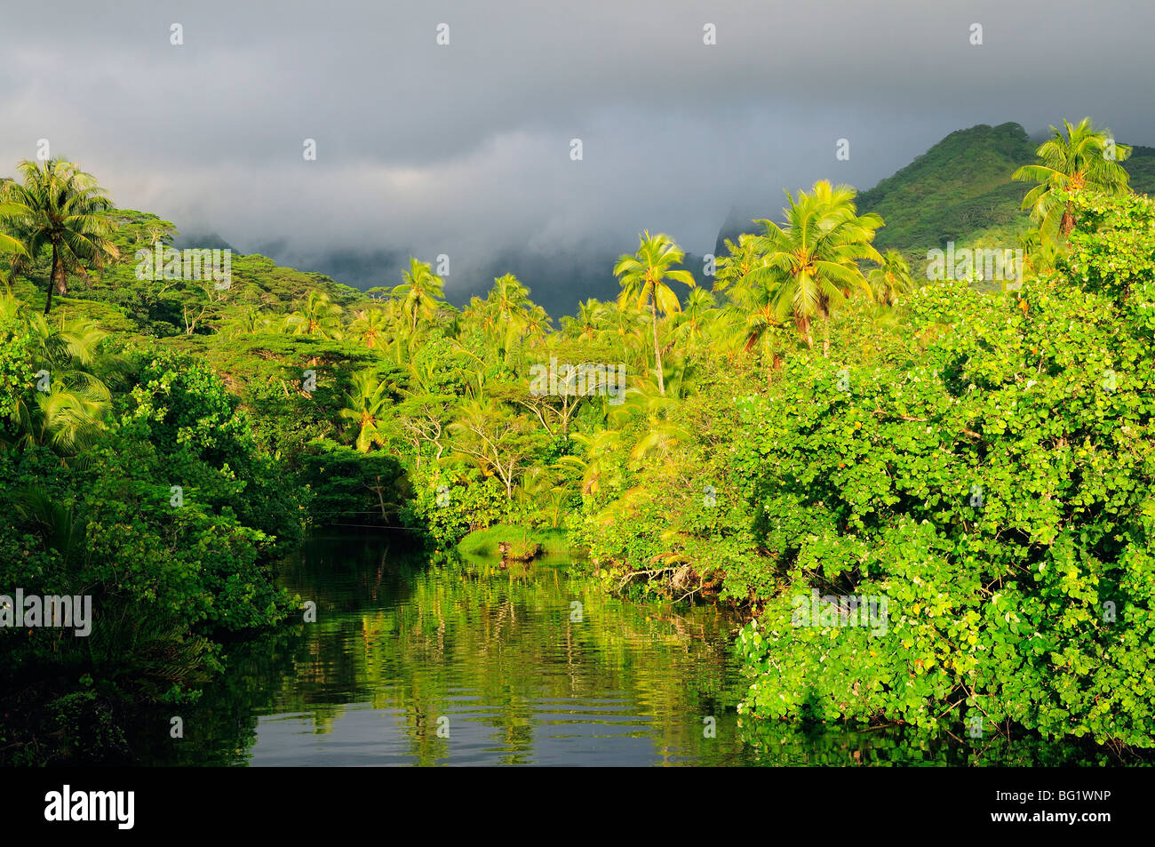 Mount Tefatua and tropical rainforest, Raiatea, French Polynesia, South ...