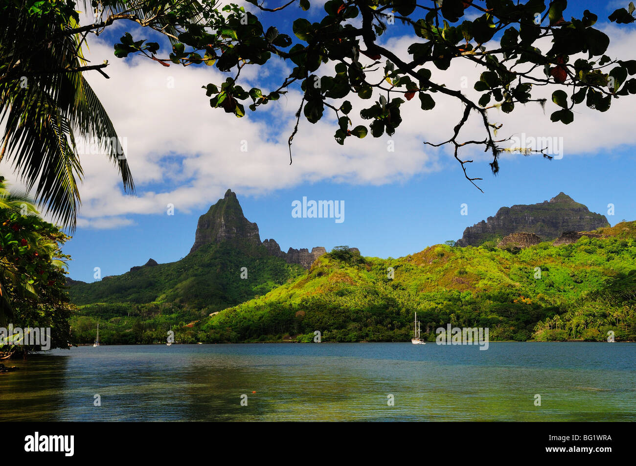 Opunohu Bay and Mount Mauaroa, Moorea, French Polynesia, South Pacific ...