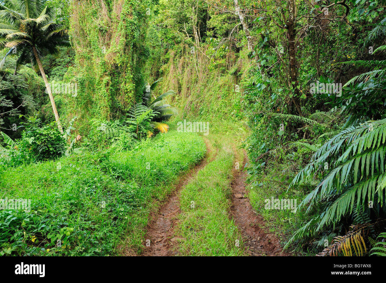 Tupapa hi-res stock photography and images - Alamy