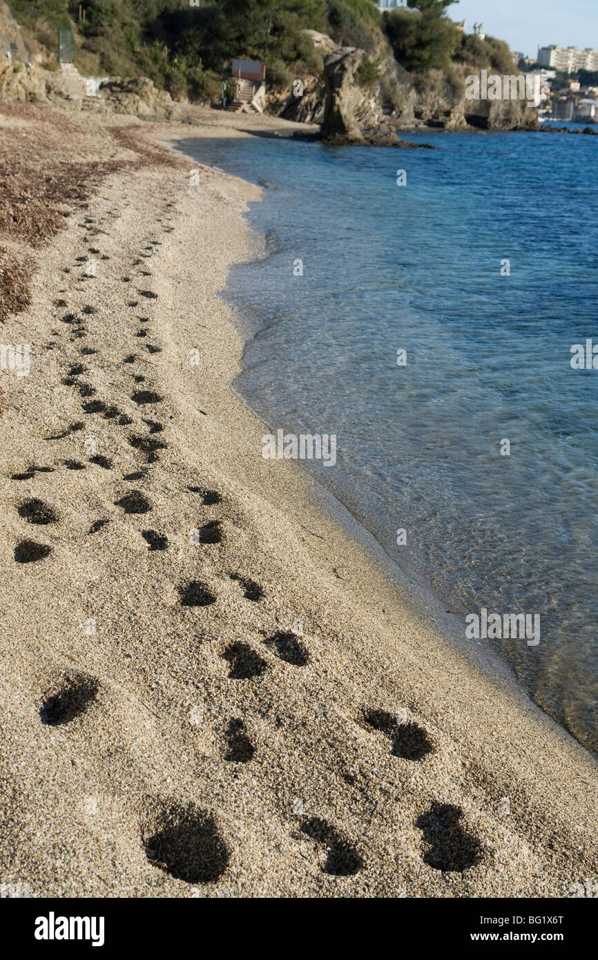 Mourillon hi-res stock photography and images - Alamy