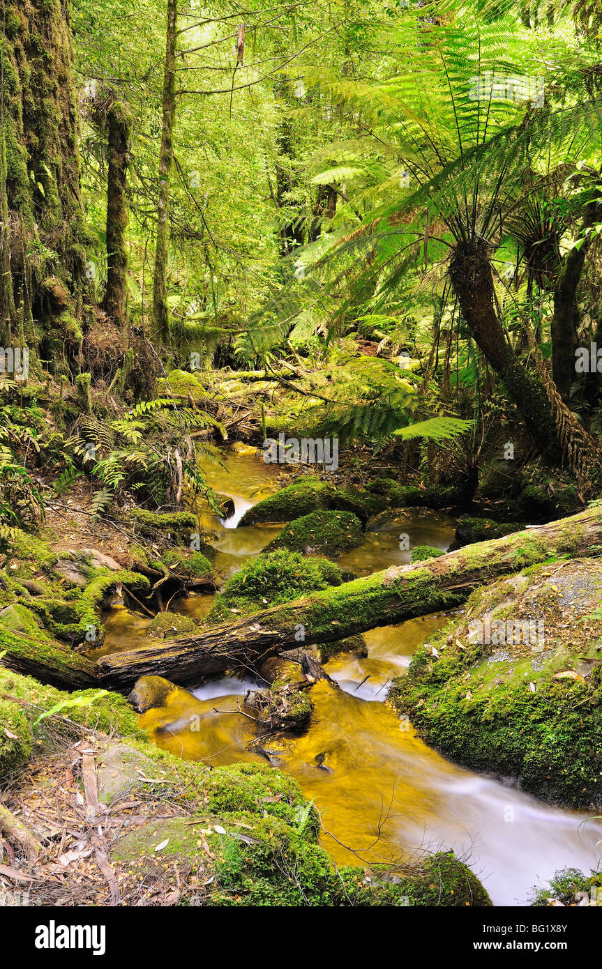 Yarra ranges creek hi-res stock photography and images - Alamy