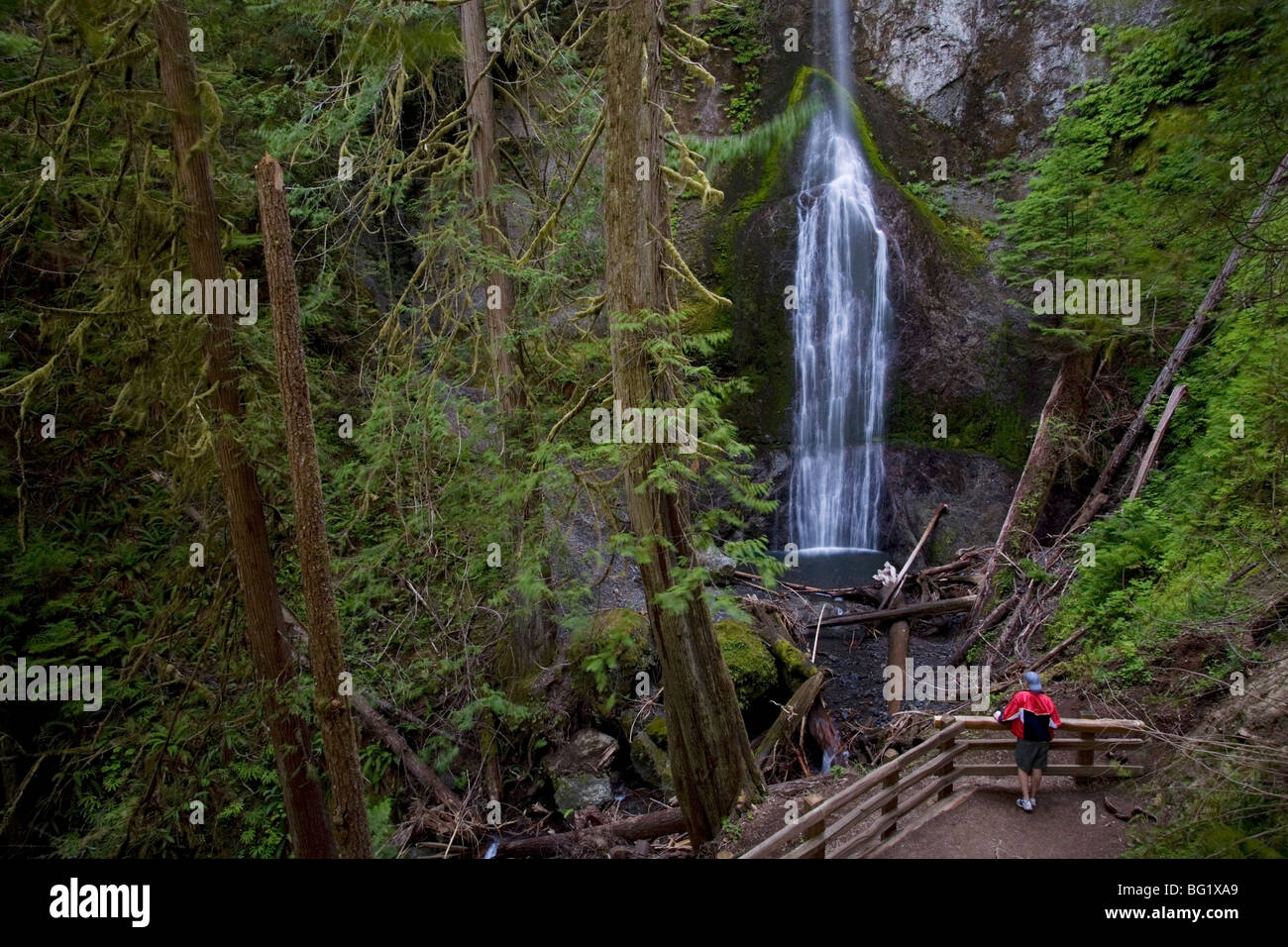 Marymere Falls, Olympic National Park, UNESCO World Heritage Site ...