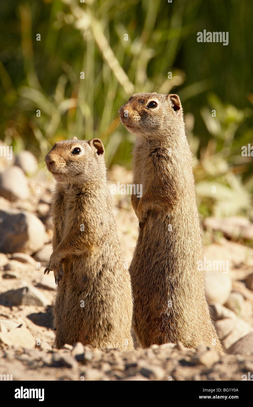 Derek Richardson Polly Richardson