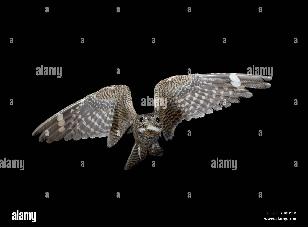Nighthawks hi-res stock photography and images - Alamy