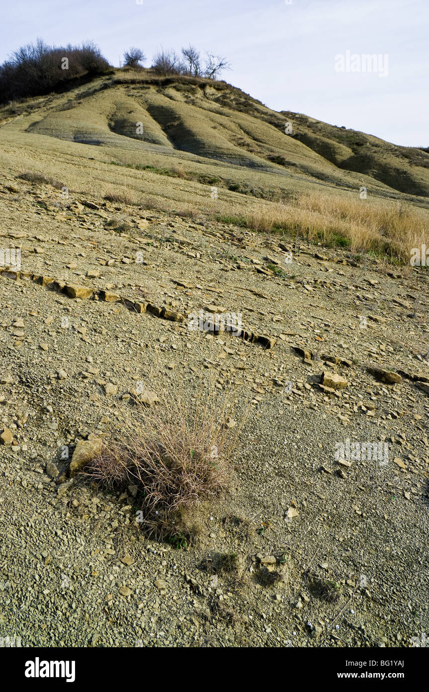 erosive scree with tuft grass Stock Photo - Alamy