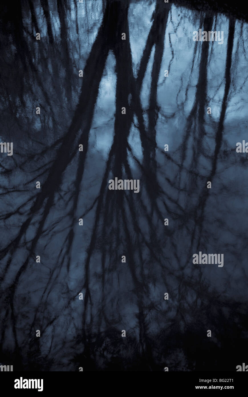 Reflection of tree silhouettes in water Stock Photo - Alamy