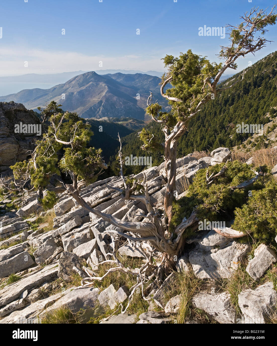 In the Taygetos mountains on Niva hill, above Kendro and the Gaitses ...