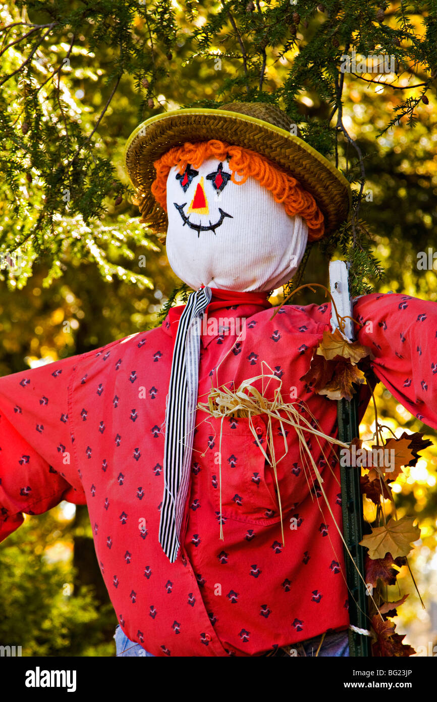A scarecrow as part of a autumn display Stock Photo - Alamy