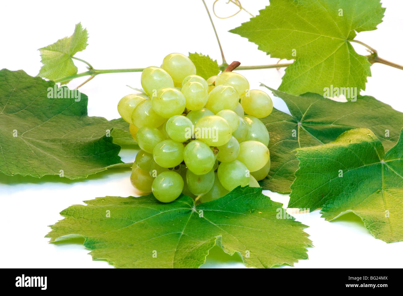 Close-up of fresh white grapes Stock Photo - Alamy
